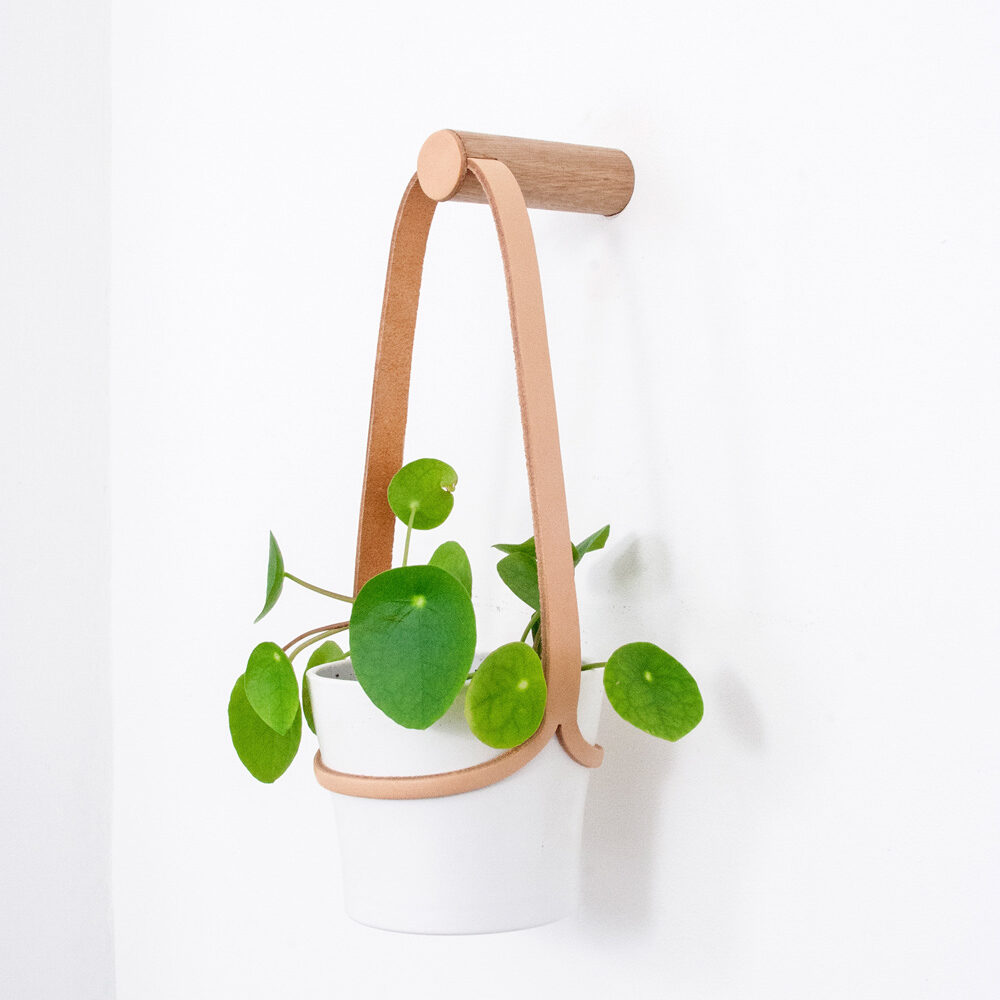Small Peg Wall Planter - Vigour and Skills