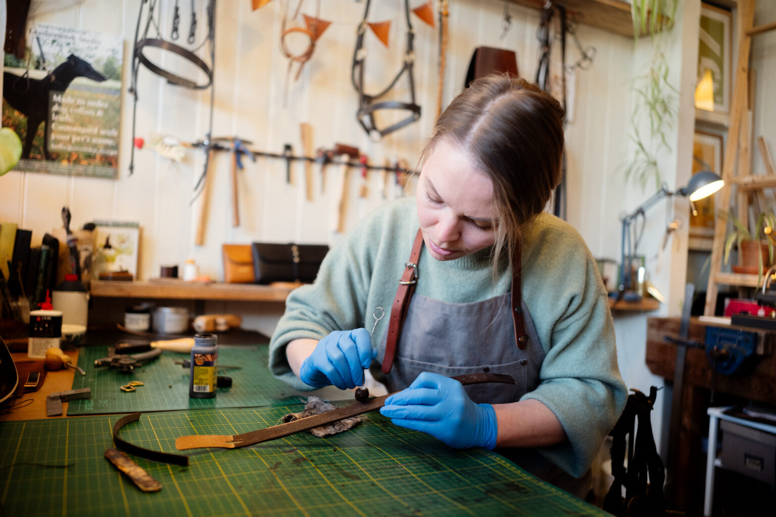 Stories with Skills with Catherine Cullen - Vigour and Skills